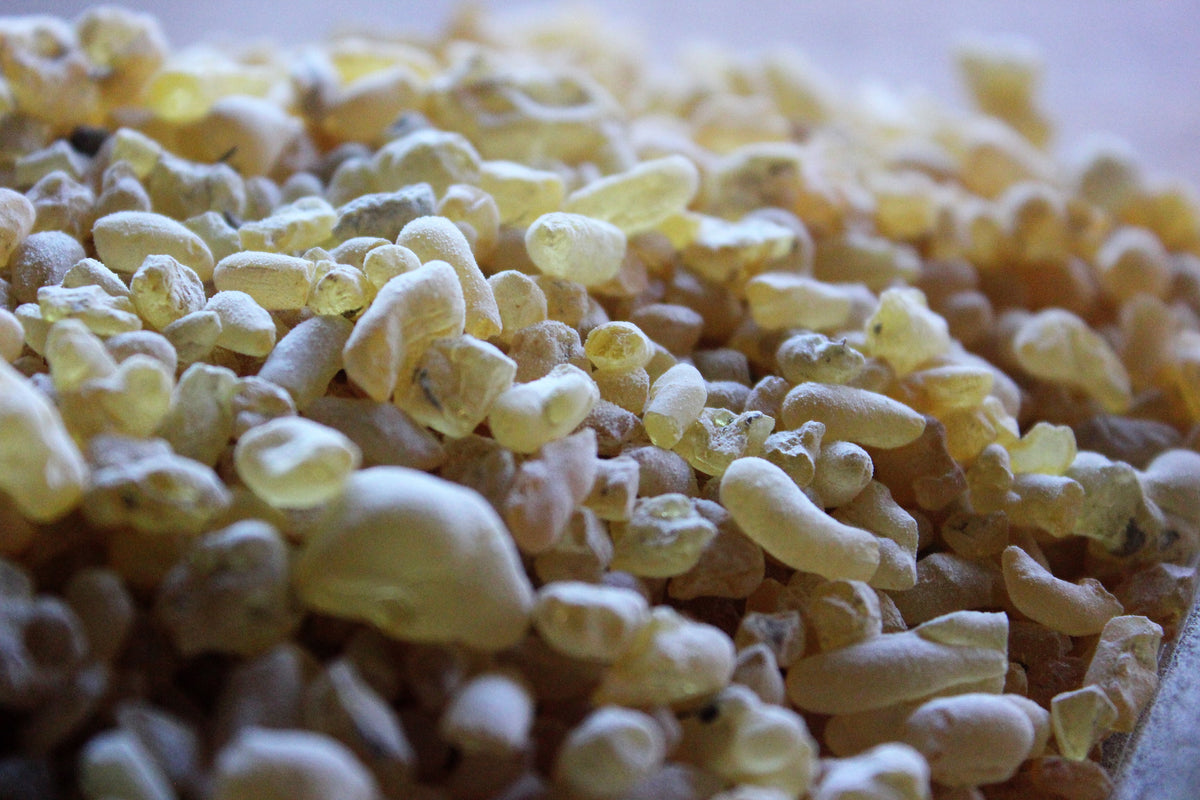 Frankincense Hojari Resin Incense – The Willow Stone Farm